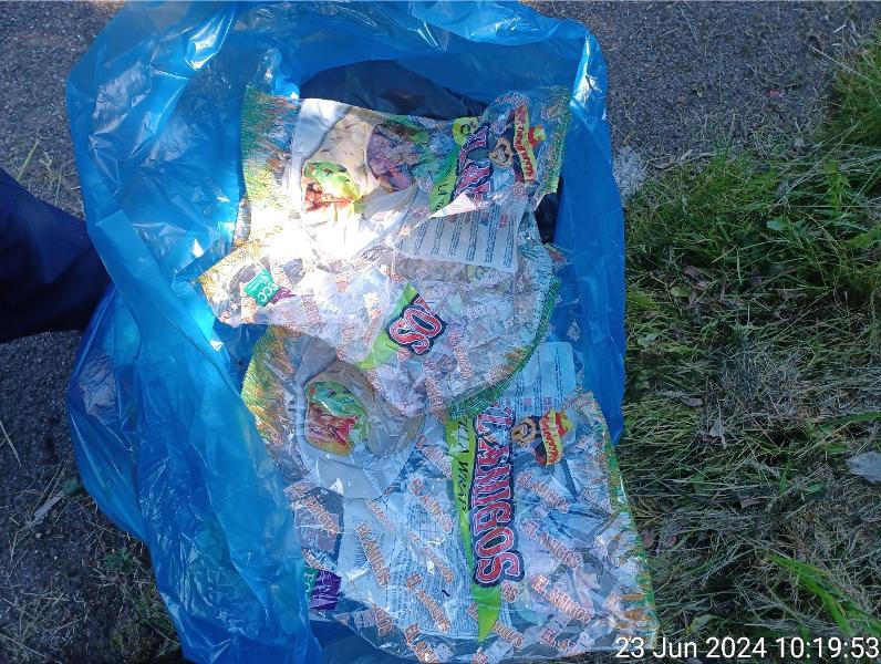 Takeaway owner fined after rubbish and waste was found dumped in layby ...