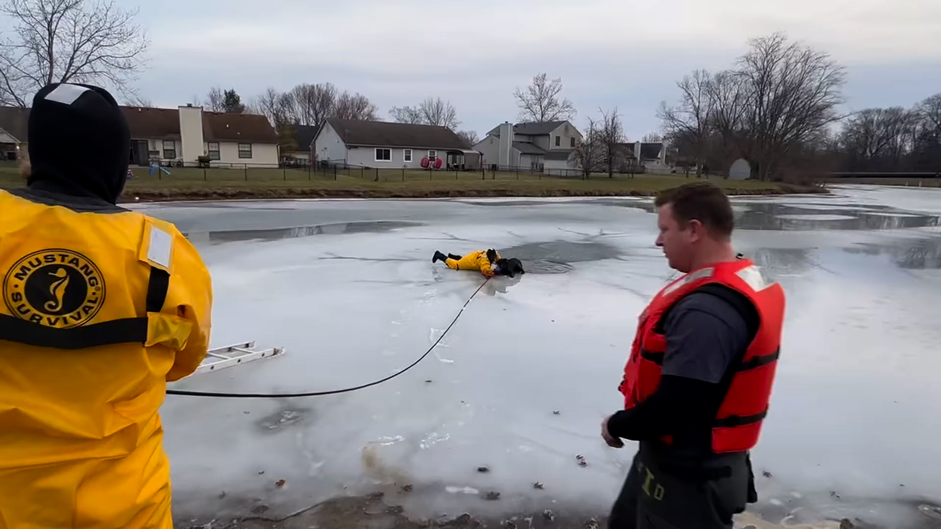 Un berger allemand sauvé après être tombé dans un lac gelé