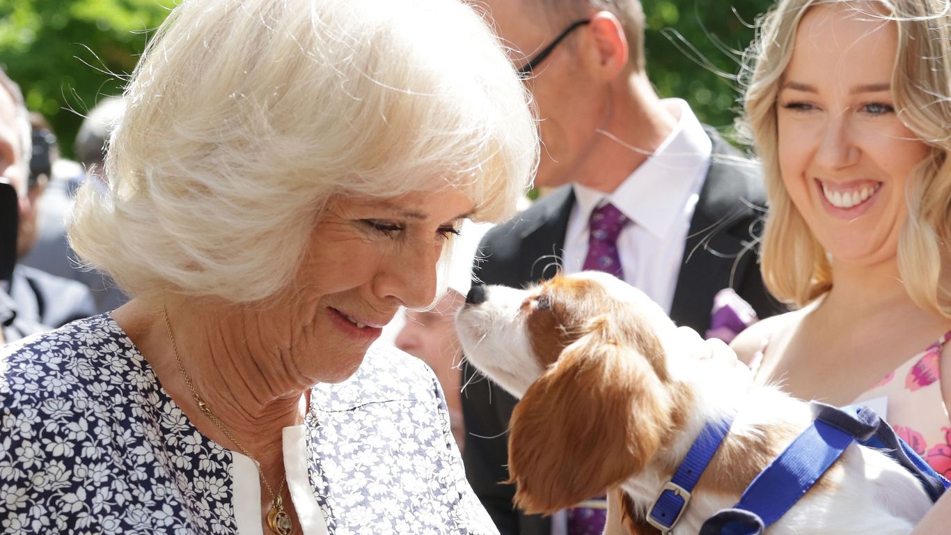 La reine Camilla a adopté un nouvel animal de compagnie (et son nom est ...