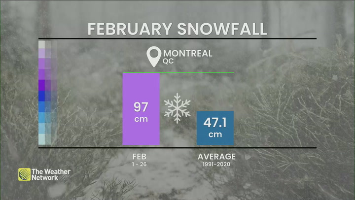 More snow to wrap up February in Quebec