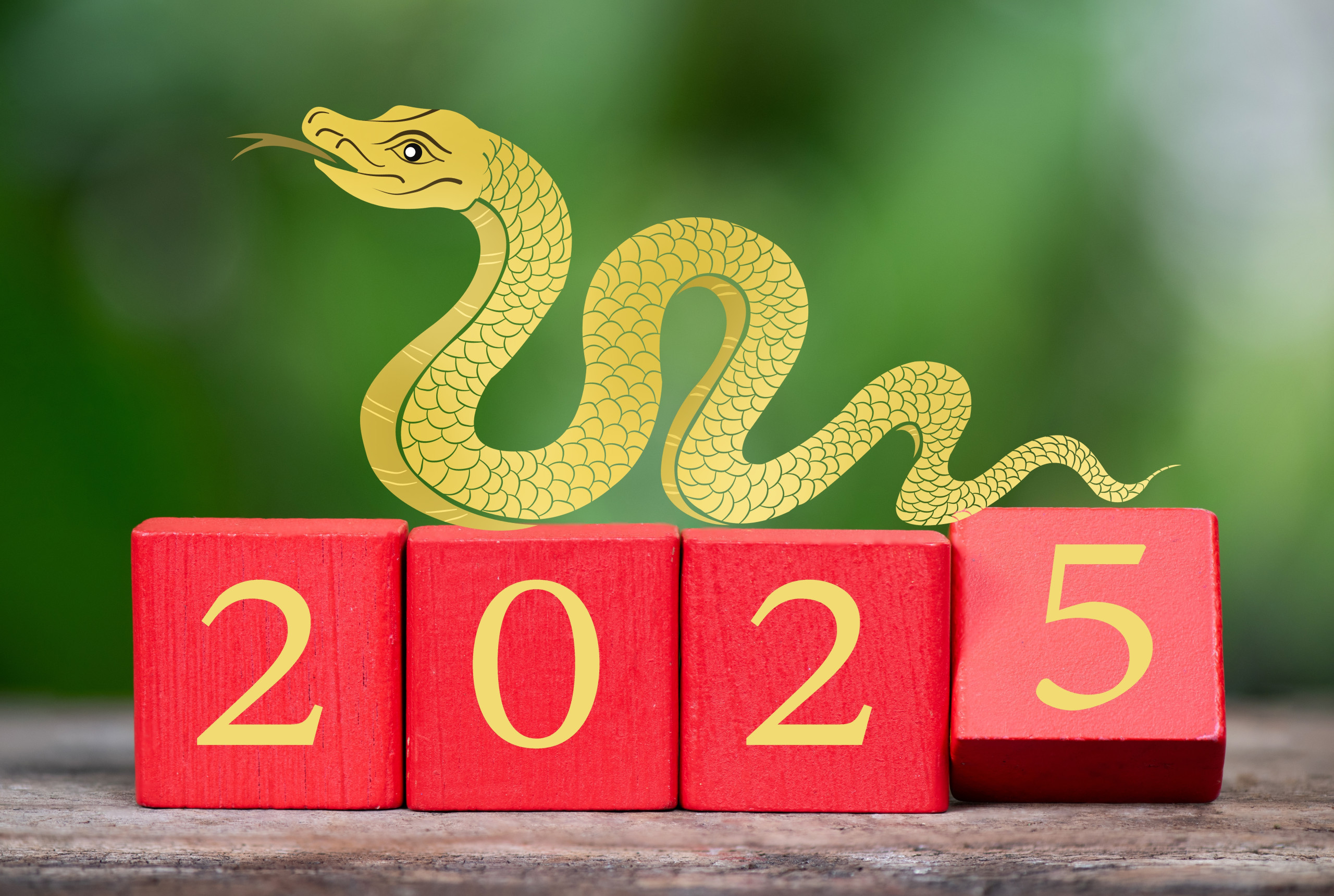 The Chinese New Year: here are 2025's predictions