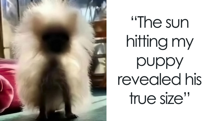 49 Uplifting Memes And Posts For That Daily Dose Of Positivity (New Pics)