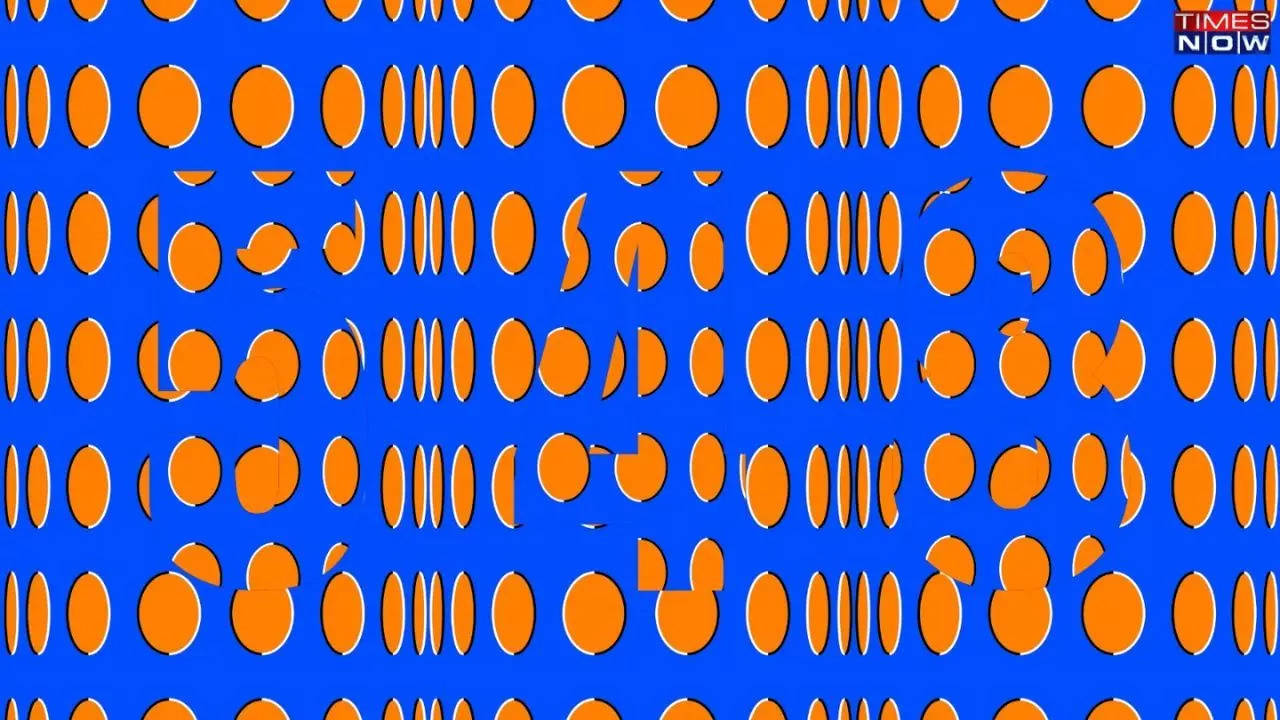 Optical Illusion Eye Test: Think You Have Sharp Eyesight? Find The ...
