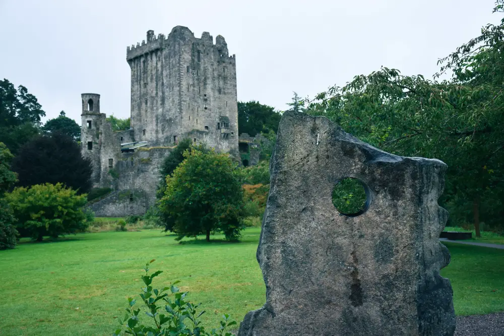 7 Shocking Snake Facts From Why There Are None in Ireland to the Truth ...