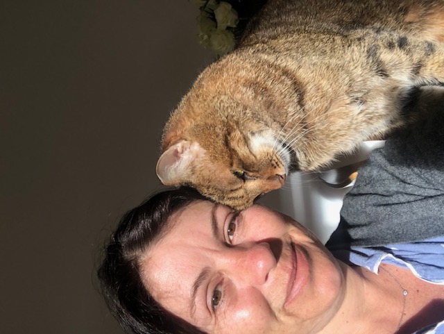 Much-loved Edinburgh cat to be remembered with life-size wall memorial ...