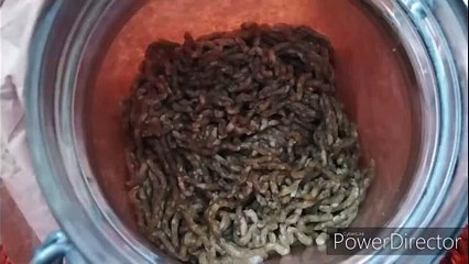 What Is High Meat? Why People Are Eating Rotting Meat To Get High