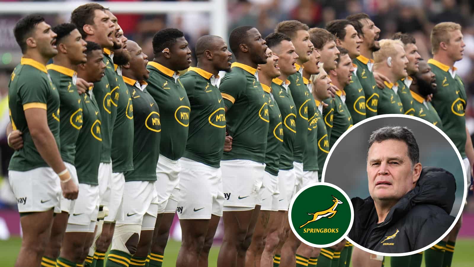 Springboks home fixtures confirmed as Rassie Erasmus’ men return to ...