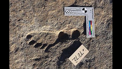 Discovery Of Fossilized Human Footprints In An Ancient Lakebed