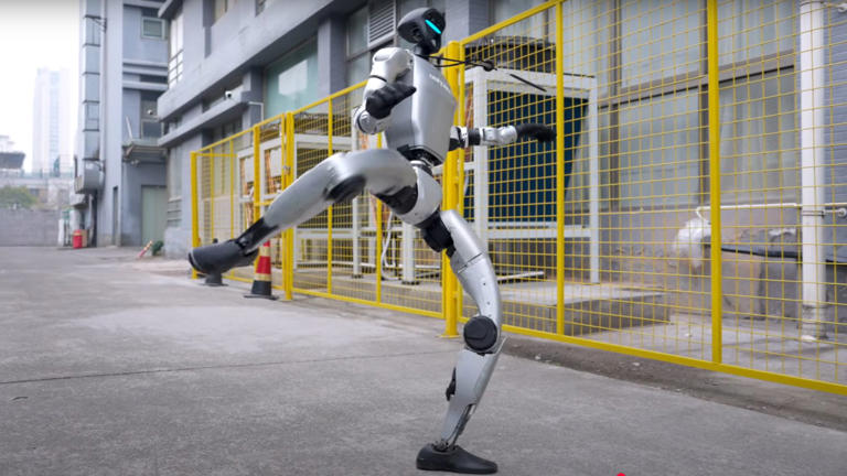 Video: China’s humanoid robot turns into Kung-fu master after dazzling ...