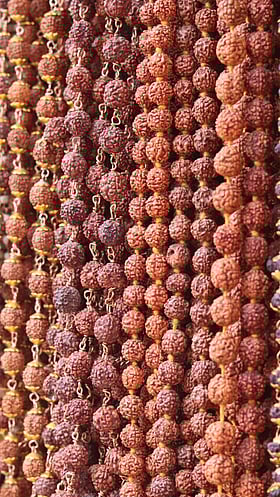 7 Types Of Rudraksh & Their Benefits For Your Body & Soul