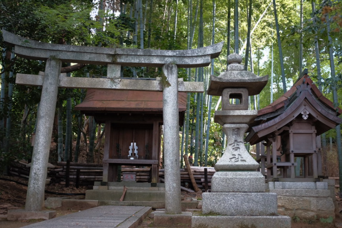 20 Off-the-Beaten-Path Kyoto Temples You Must Visit