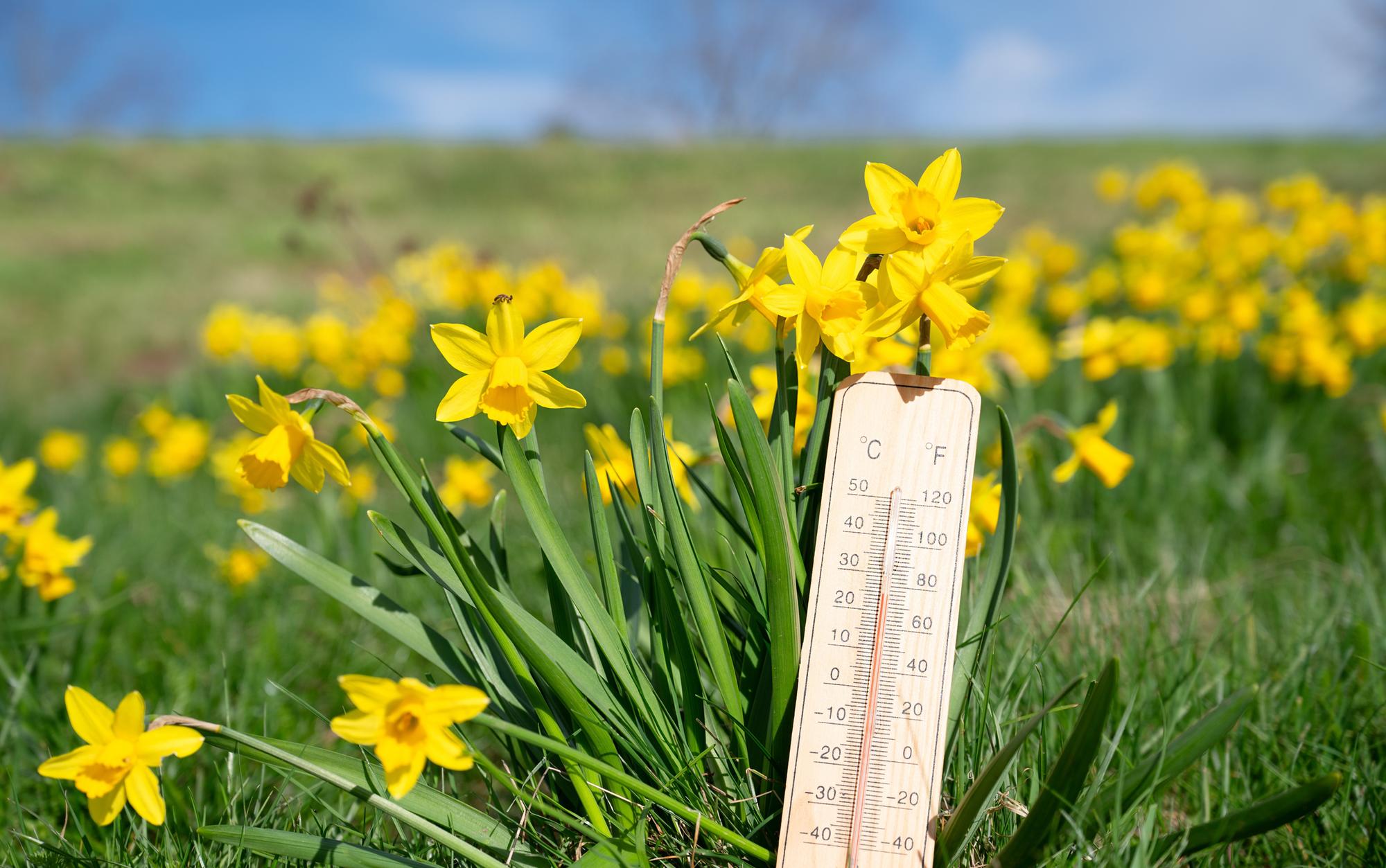 Northern Ireland weather: Temperatures fell to -3.3C in Katesbridge ...