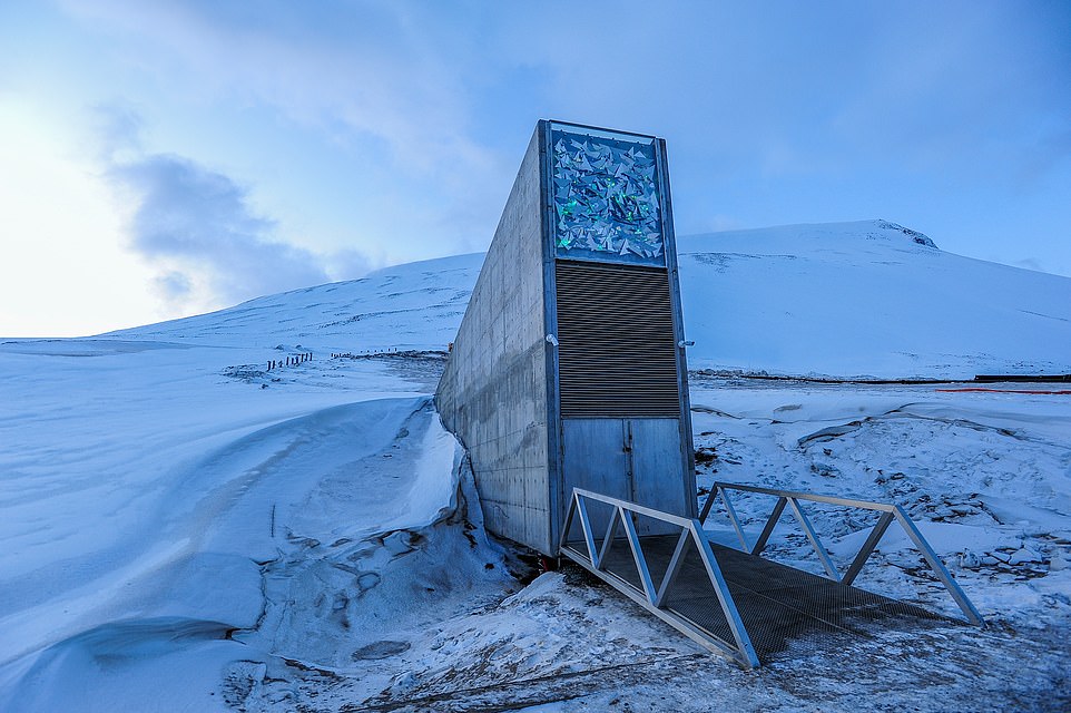 Inside the 'Doomsday Vault' where over 14,000 new samples are added