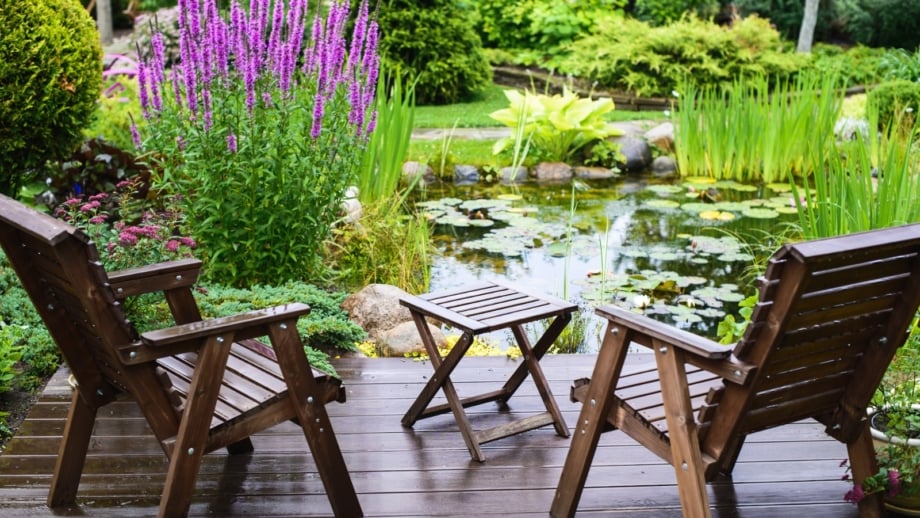 Feeling Anxious? 9 Ways to Find Your Peace in the Garden