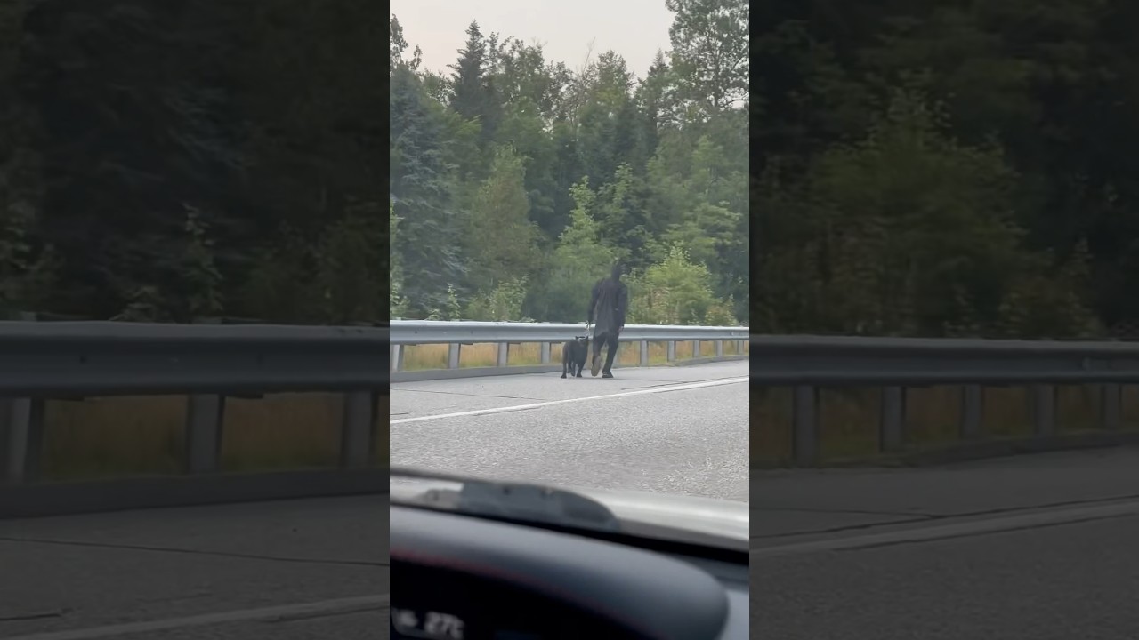 Even Batman takes his dog for a walk in New Hampshire
