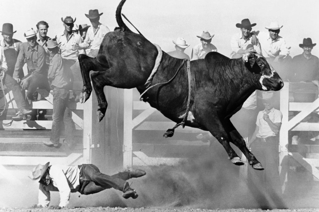 Teton Ridge Entertainment Acquires Spec Script ‘Riding Hurt' For Seven ...