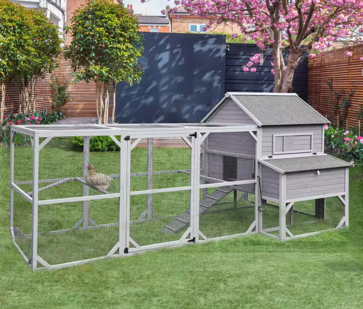 10 Best Chicken Coops for Your Backyard Brood