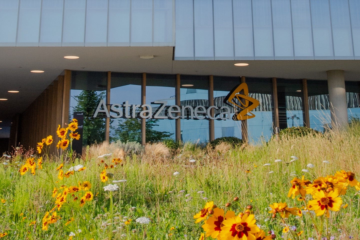 AstraZeneca reports positive outcomes from breast cancer combo therapy ...