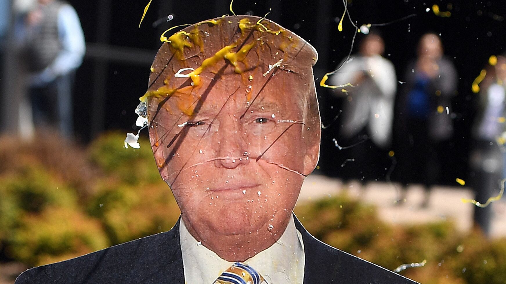 Trump Scrambling to Rehire Fired Bird Flu Experts Amid Egg Price ...