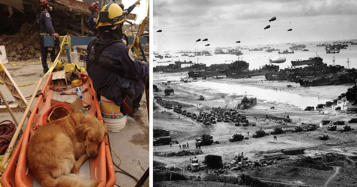 18 Profoundly Interesting Historical Photographs