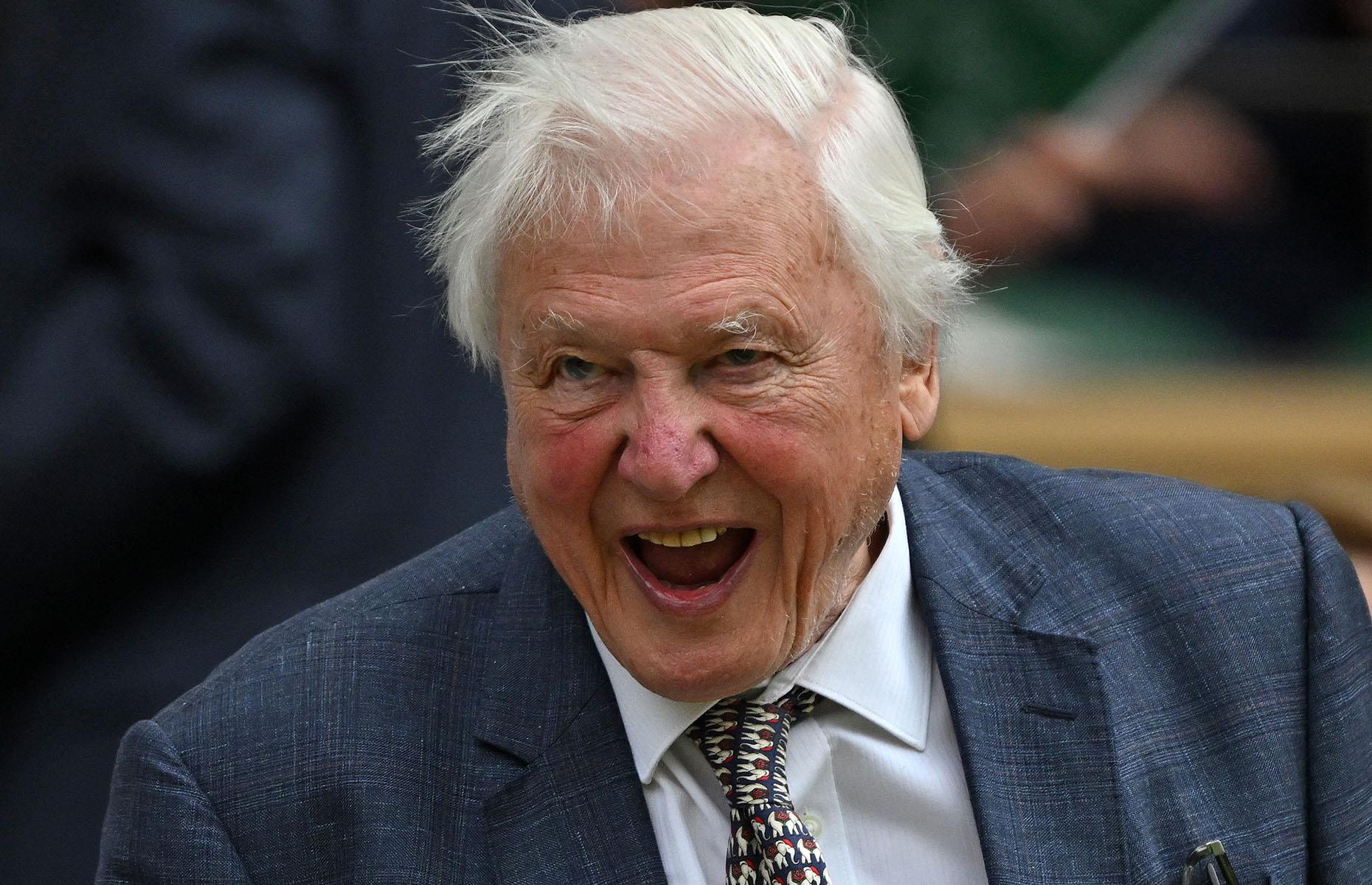 The celebrities who defy old age and refuse to retire