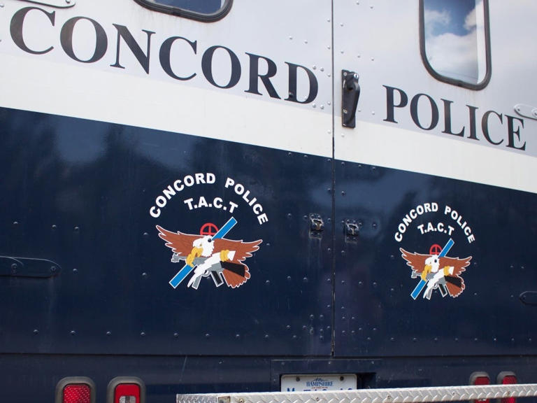 Concord Men Face Felony Theft Counts: Concord Police Log