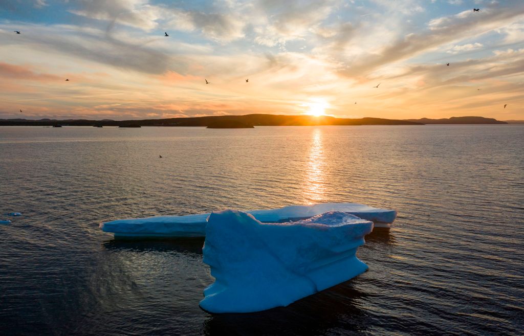 Newfoundland Limited Series Set At Netflix From Jesse McKeown