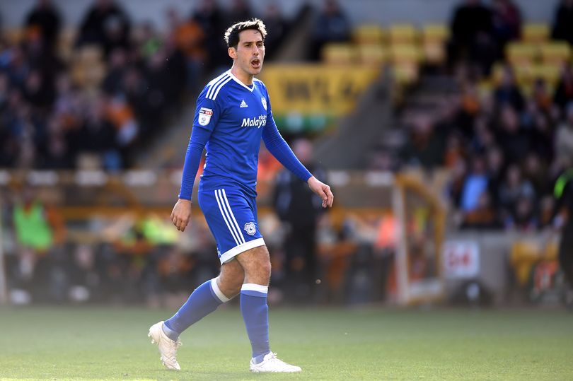 Peter Whittingham's family in talks with Cardiff City over building statue