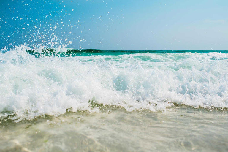Fun things to do on the Treasure Coast and in Palm Beach this weekend