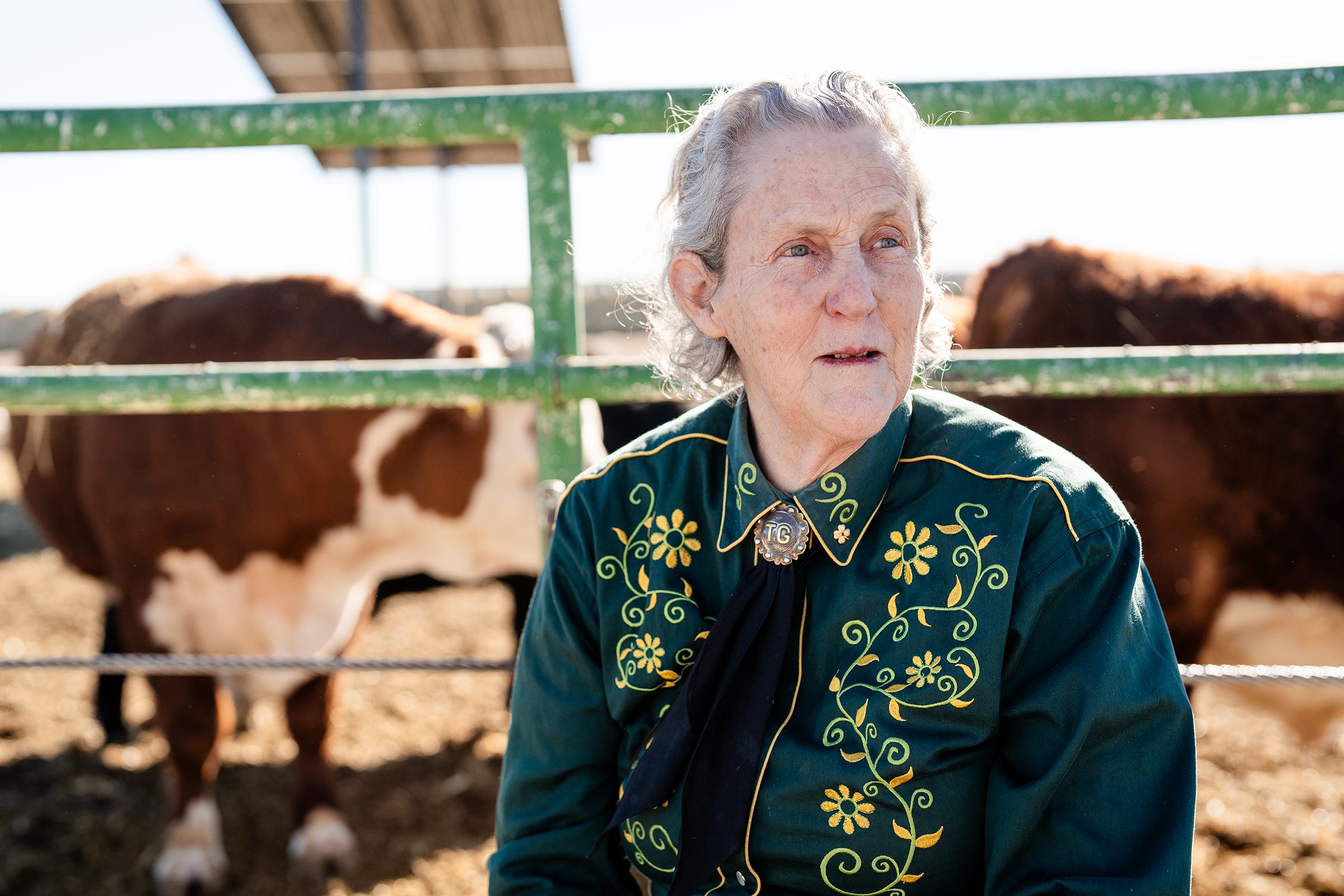 New Temple Grandin documentary released: 'An Open Door' tells story of ...
