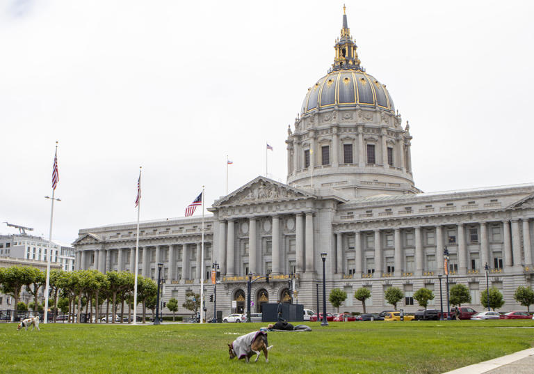 SF City Hall 'DOGE raid' was a YouTube prank; authorities weigh whether ...
