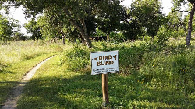 16 Best Things To Do In Cibolo, Texas