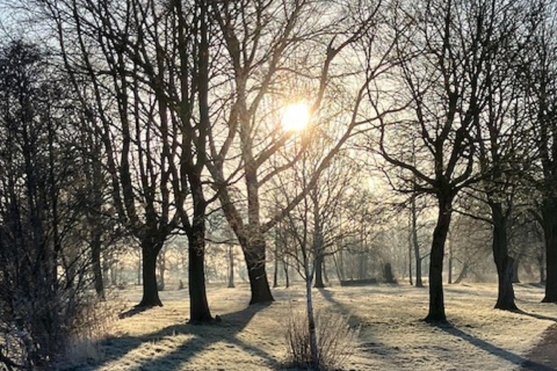 Derbyshire weather: Exact date snow to hit parts of UK as temperatures ...