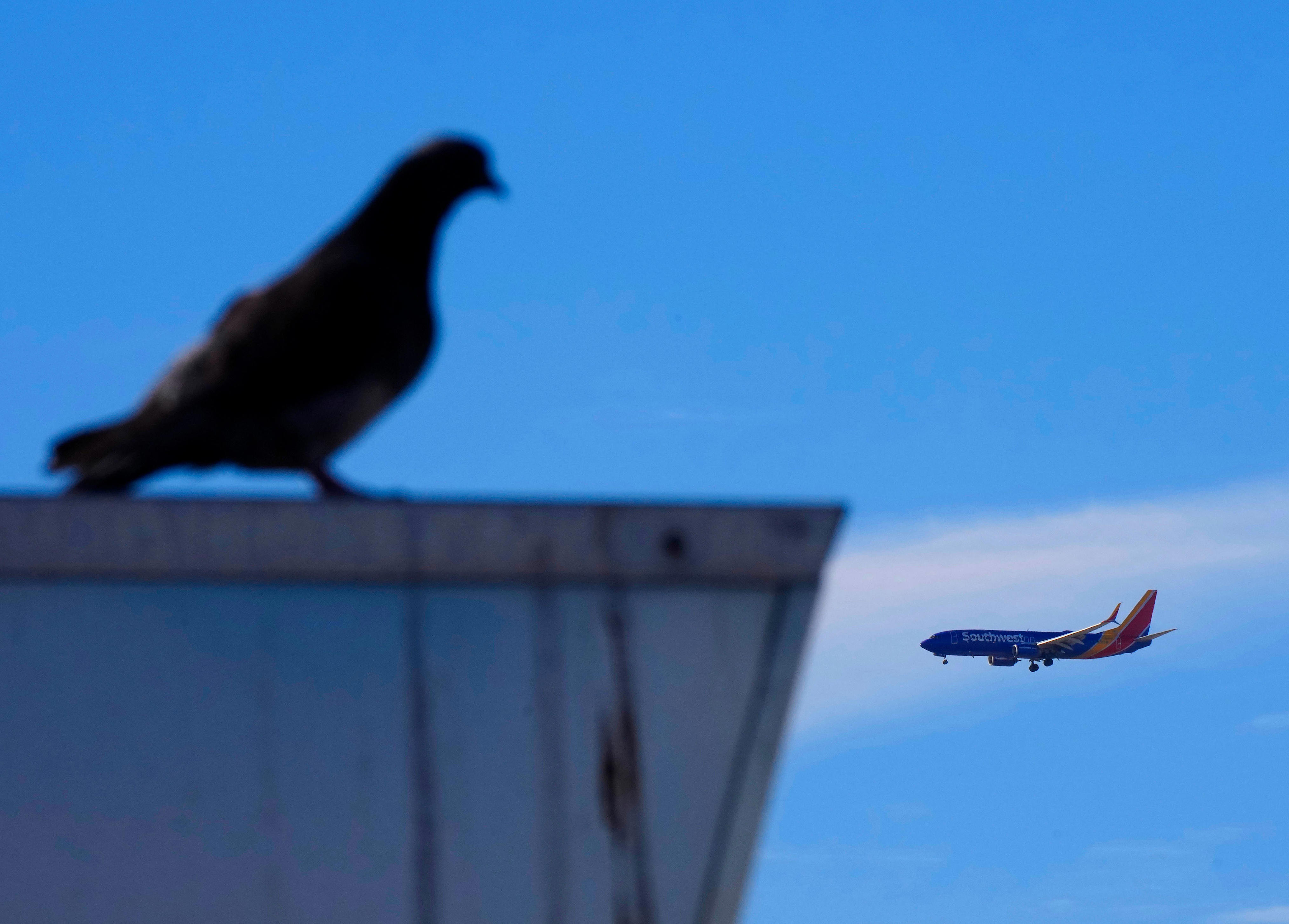 Airfares are increasing. Here's where you still fly cheap from Phoenix