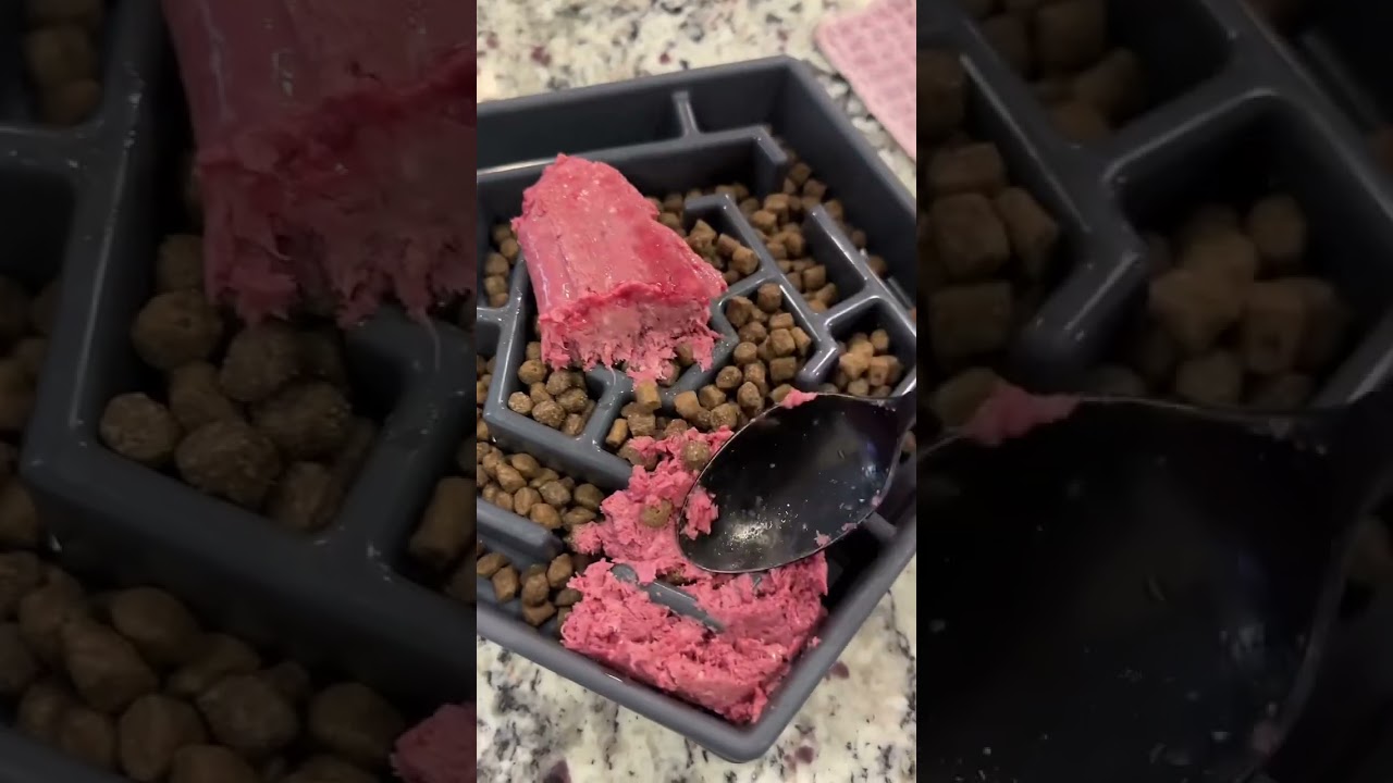Prepare a nutritious morning meal for your dogs with this healthy recipe