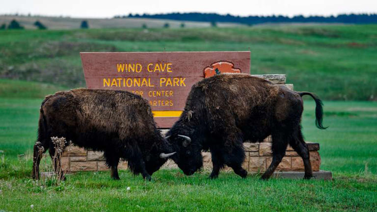 1 Fact About All 63 U.S. National Parks