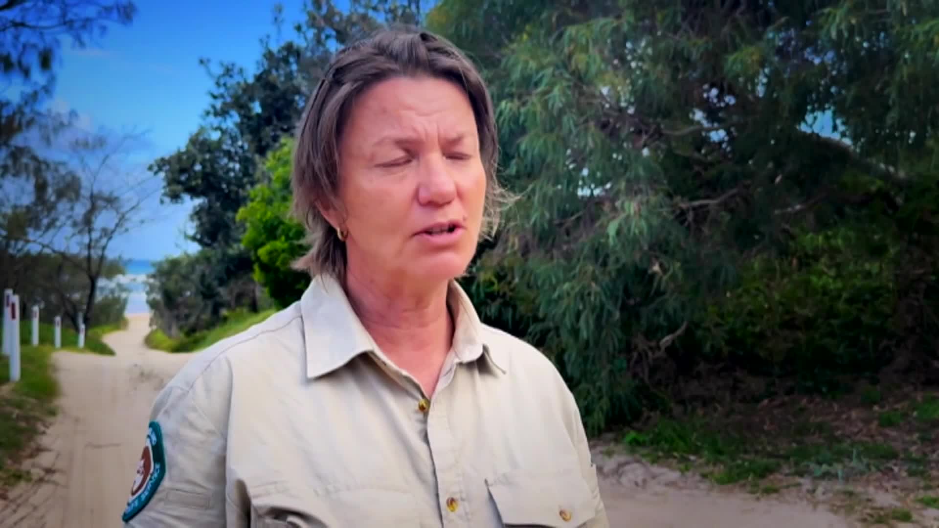 Rangers investigate growing population of feral cats on K’gari