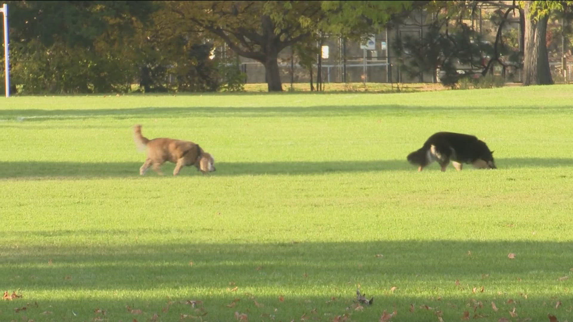 Seasonal dog off-leash program ending at 2 Boise parks Friday Seasonal dog off-leash program ending at 2 Boise parks Friday