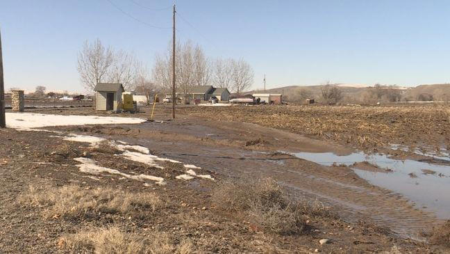 Ontario residents face aftermath of massive flooding as waters recede