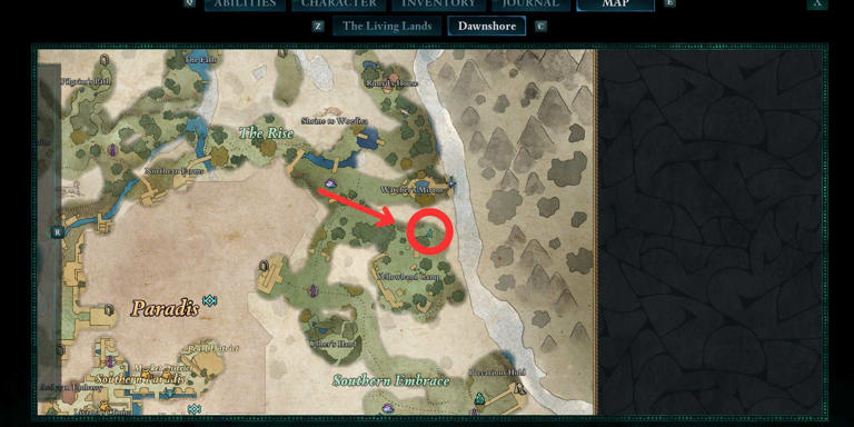 Intimidating Feline Codpiece Treasure Location In Avowed