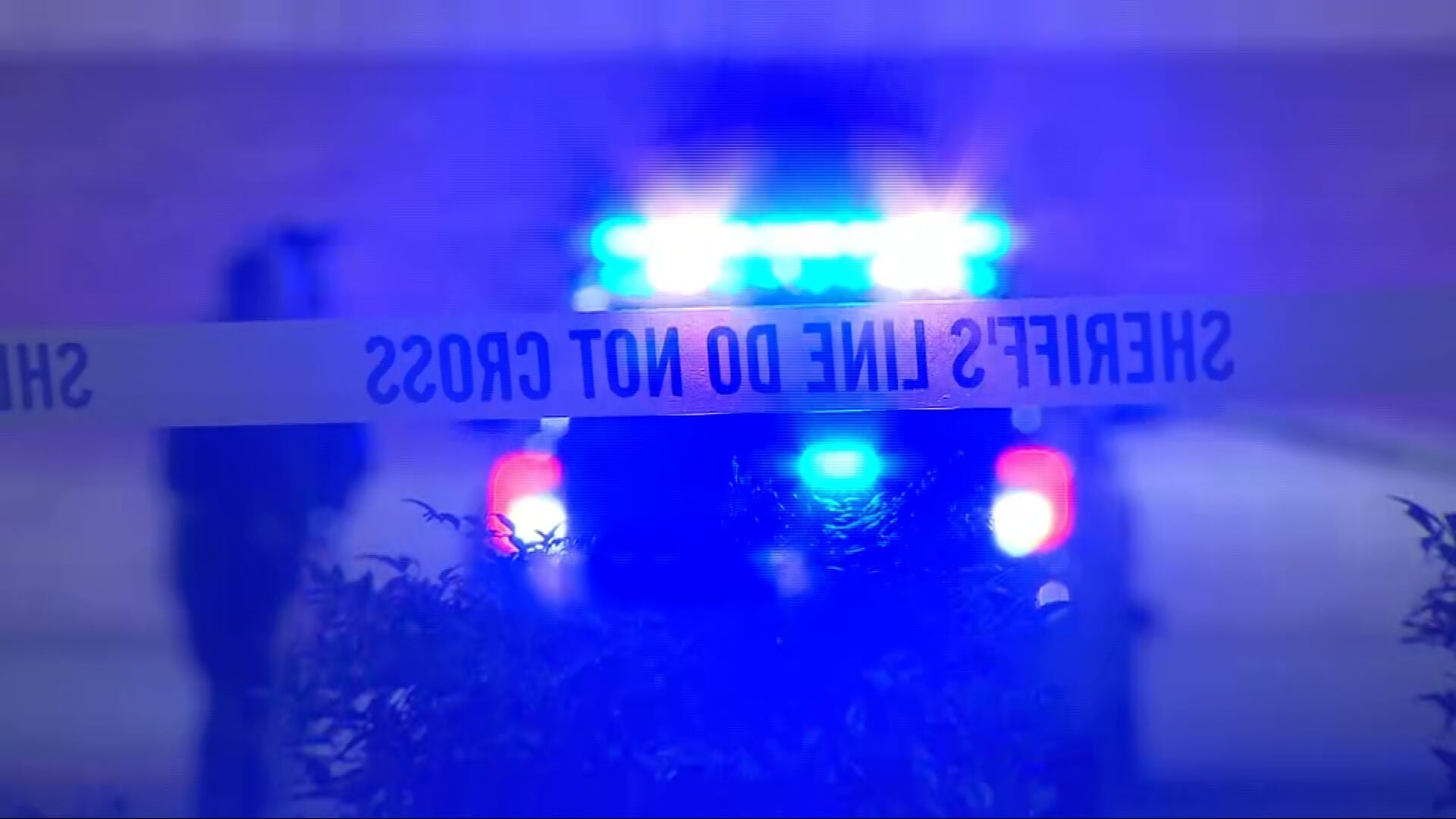 Everett man arrested after dog shot, killed in broad daylight, police say