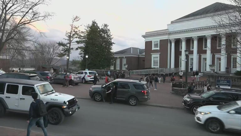 UVA stabbing victim in critical condition, suspect in custody: police