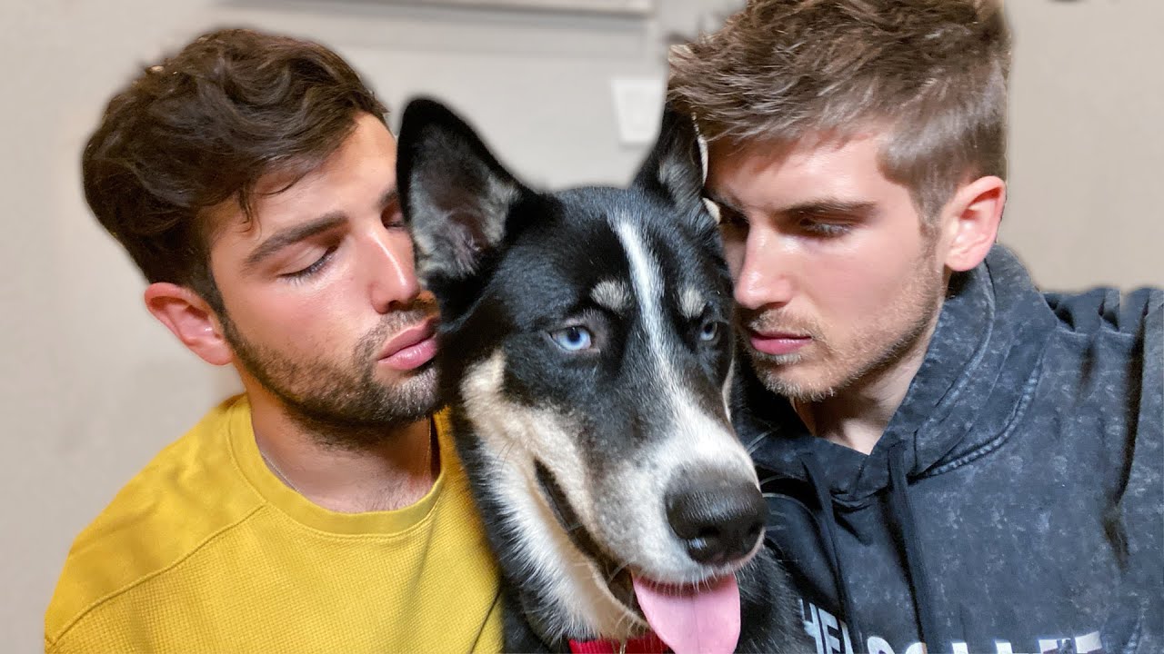 Shadow the Rescue Dog Finds a Loving New Home