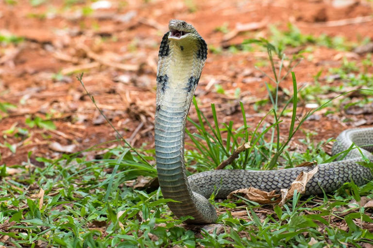 25 Amazing Science Facts That Are Weird, Wild and True
