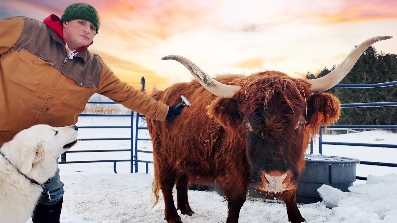 Why farm life is not what I expected