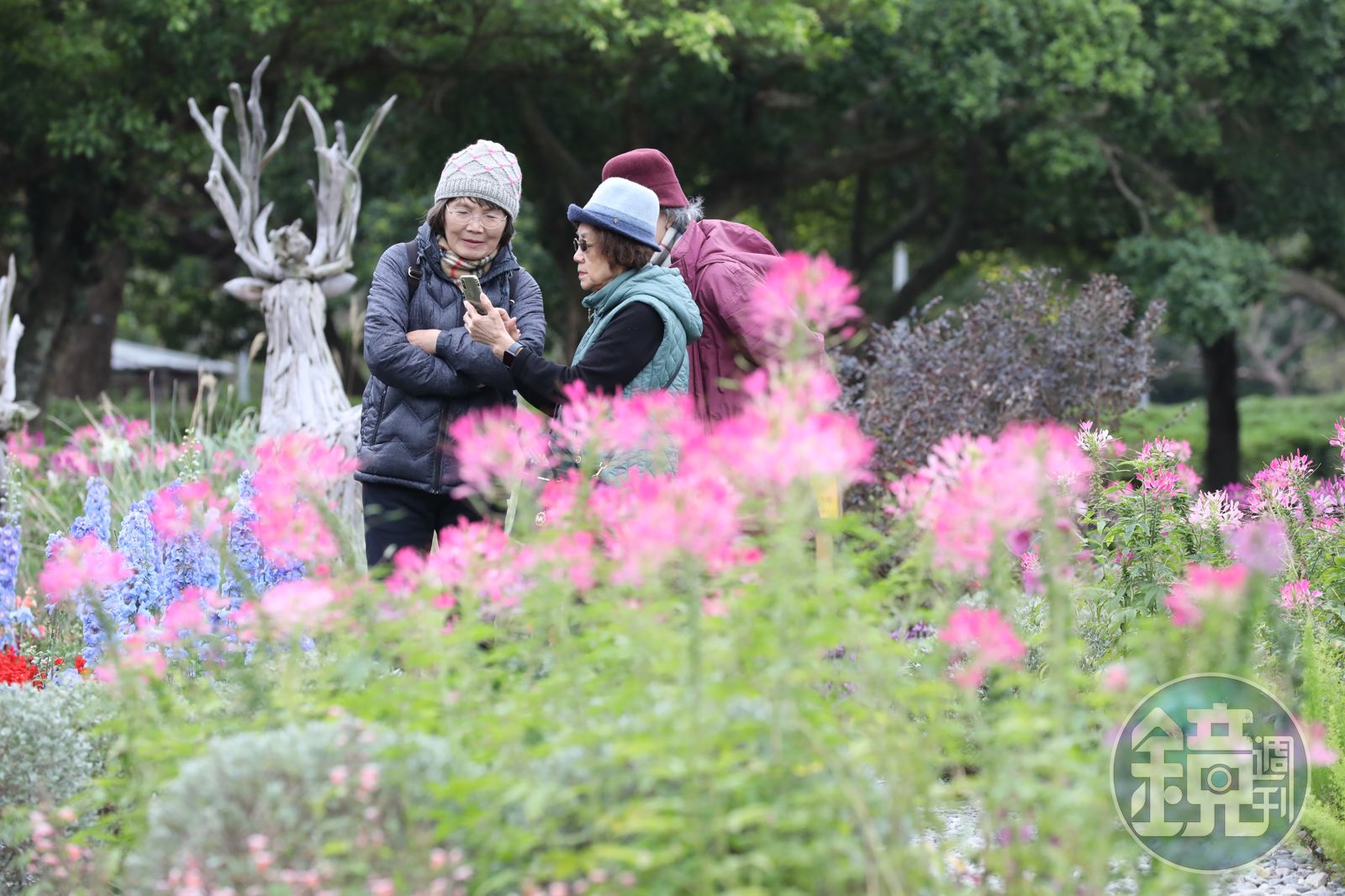 早晚溫差大！228連假天氣穩定回暖 下週鋒面來襲全台變天