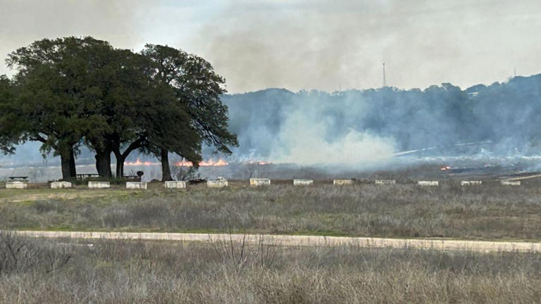 The importance of prescribed burns ahead of wildfire season