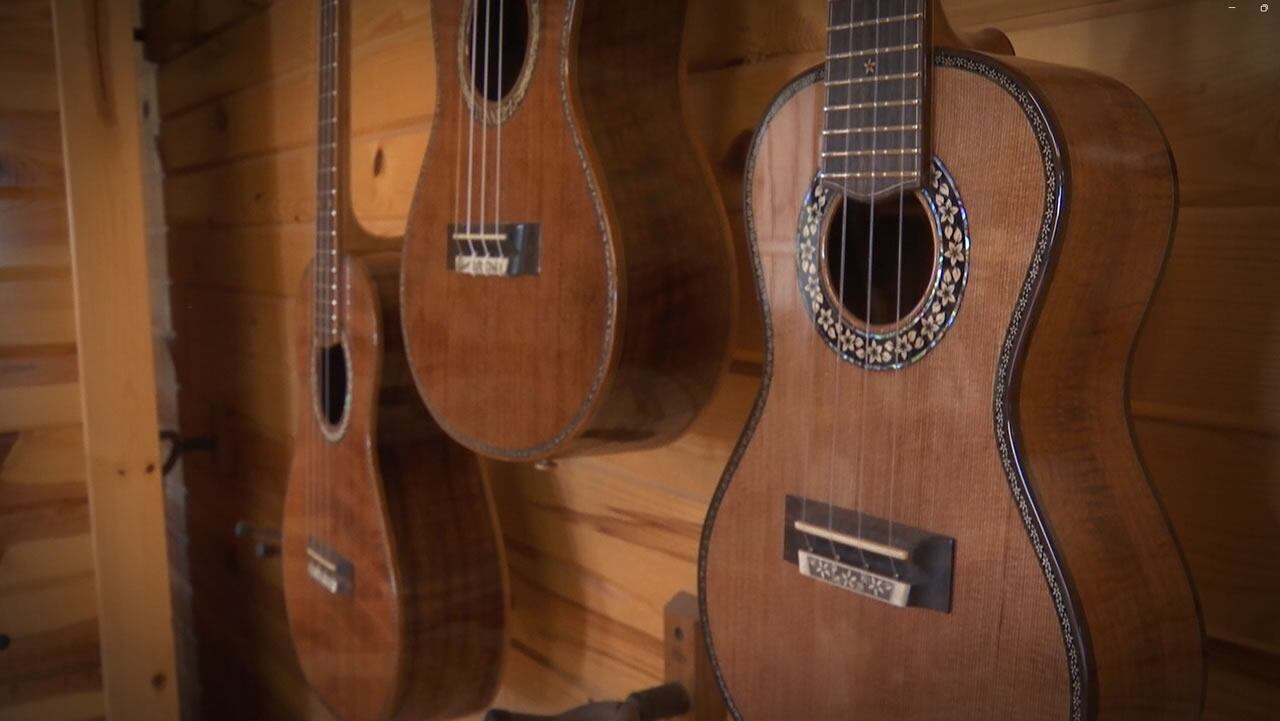 SMALL TOWNS: Father/son duo create world-class guitars and ukuleles in ...