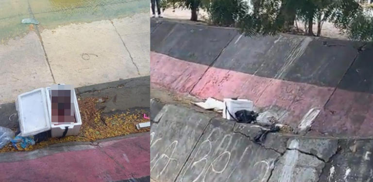 Aterrador hallazgo en Cúcuta: encuentran cuerpo desmembrado dentro de ...