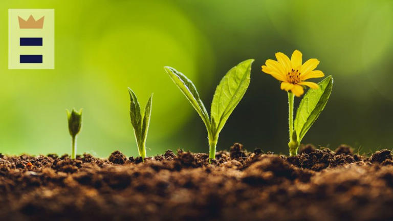 Family fun this Saturday with Spring Gift Fair